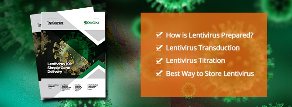 Lentivirus 101 eBook, all about lentivirus as a gene delivery tool | 取扱メーカー速報 | e-Nacalai 商品情報サイト